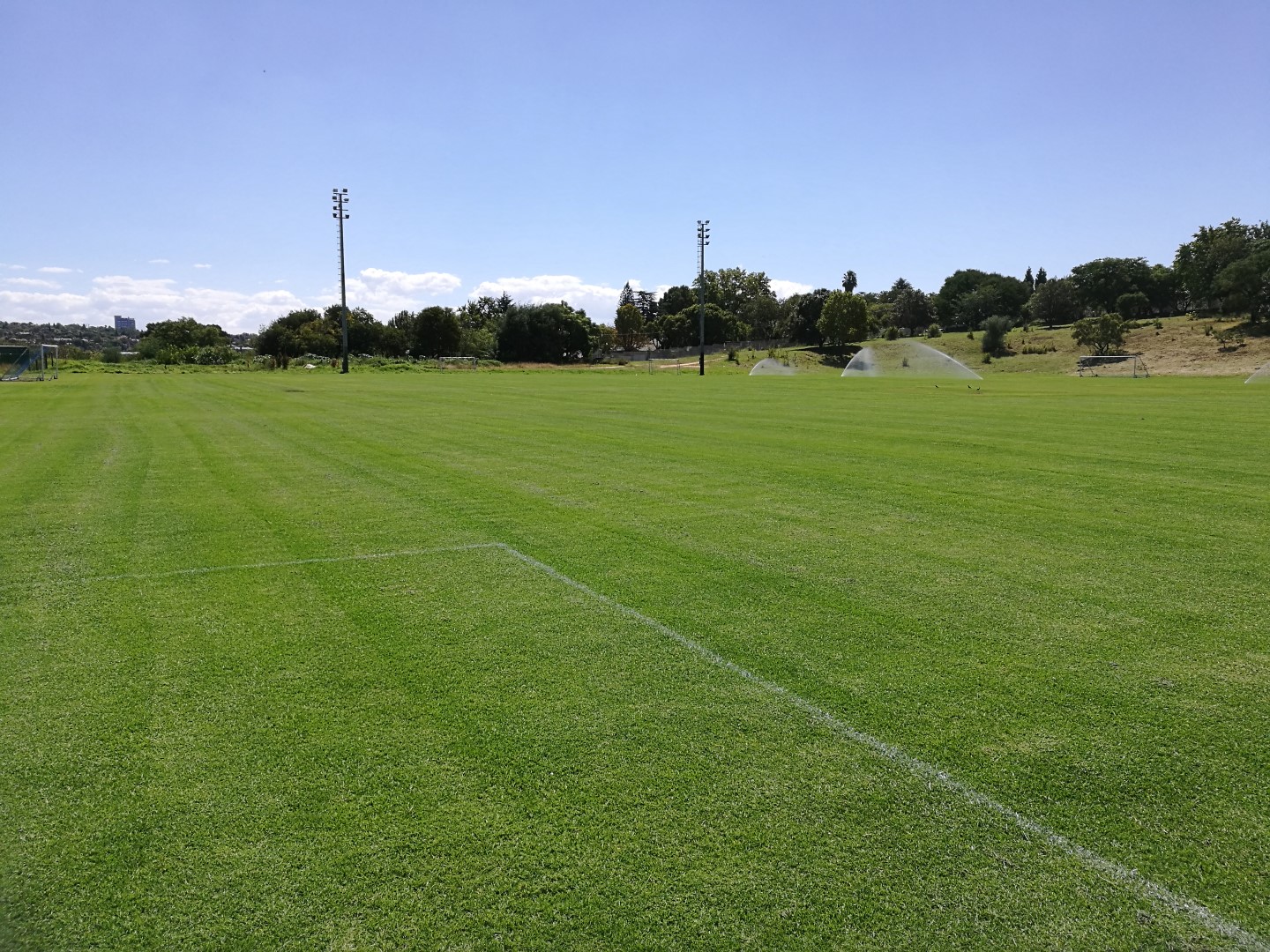 Sports Field Maintenance at George Lea Park: Sandton Sports Club ...